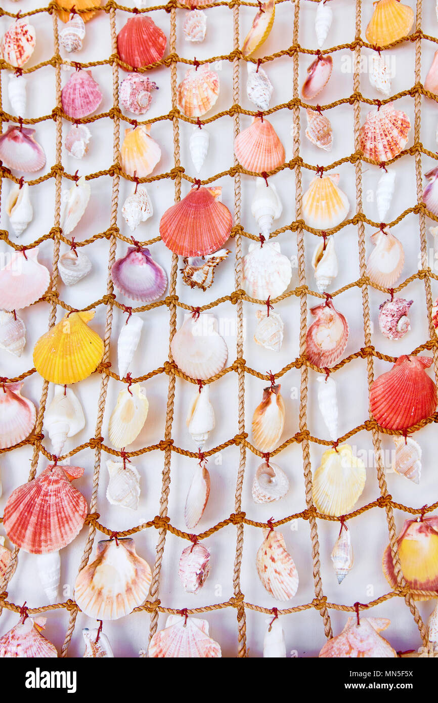 Decorative colorful seashells hanging on a white wall Stock Photo - Alamy