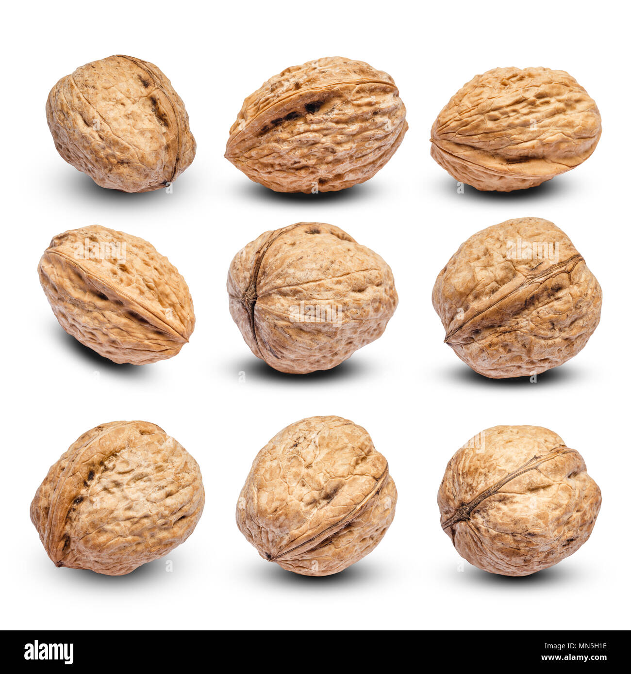 Set of Walnut nuts isolated on white Stock Photo - Alamy