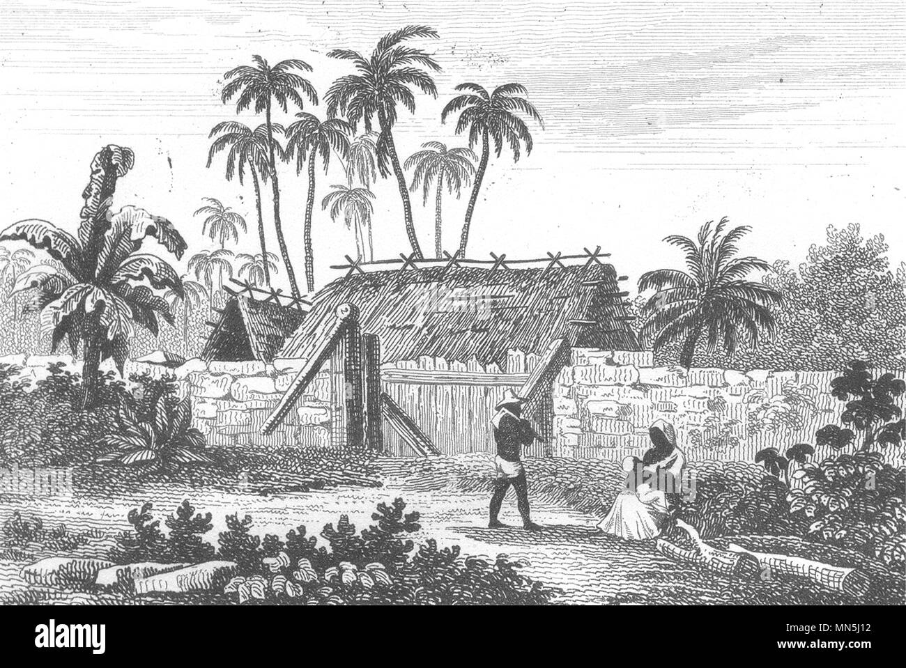 RÉUNION. Île Bourbon (Reunion) . Case à negres 1835 old antique print ...