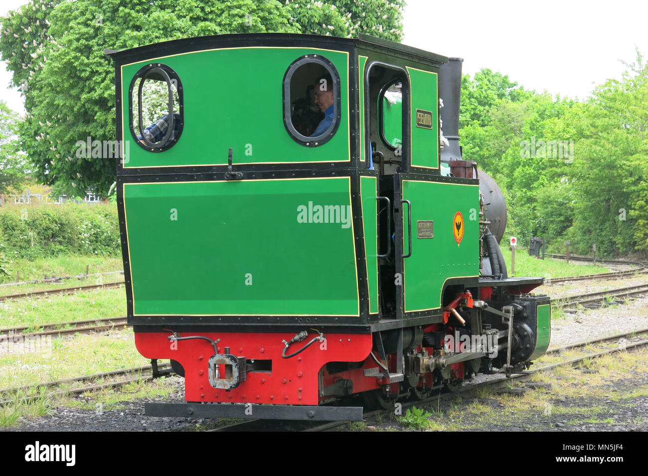 A 90hp green-coloured steam train called Pedemoura was doing test runs ...