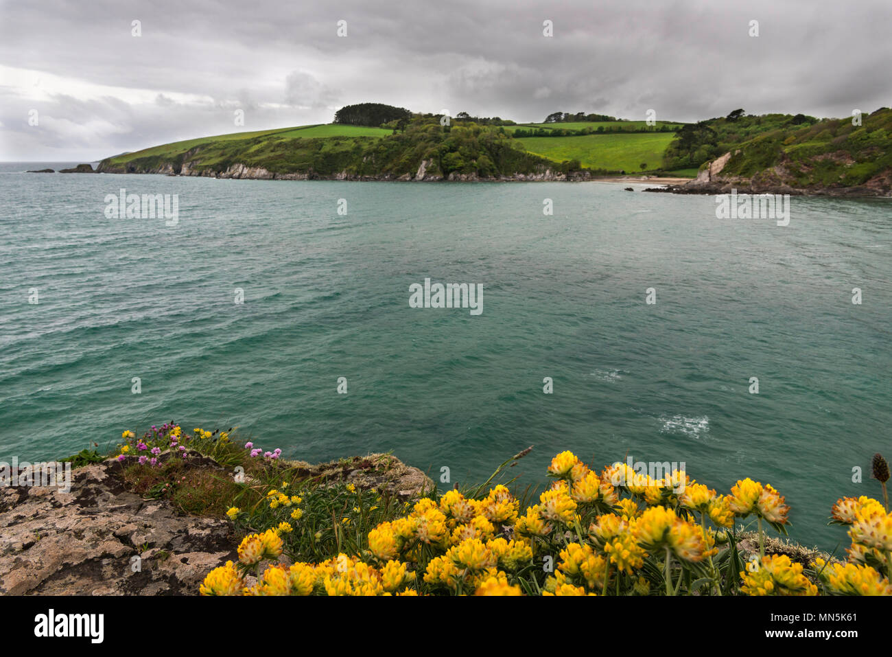 Mouth of The River Erme Stock Photo - Alamy