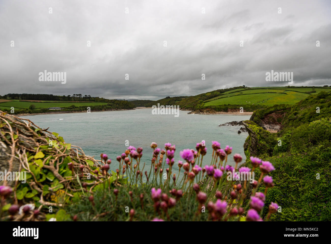Mouth of The River Erme Stock Photo - Alamy