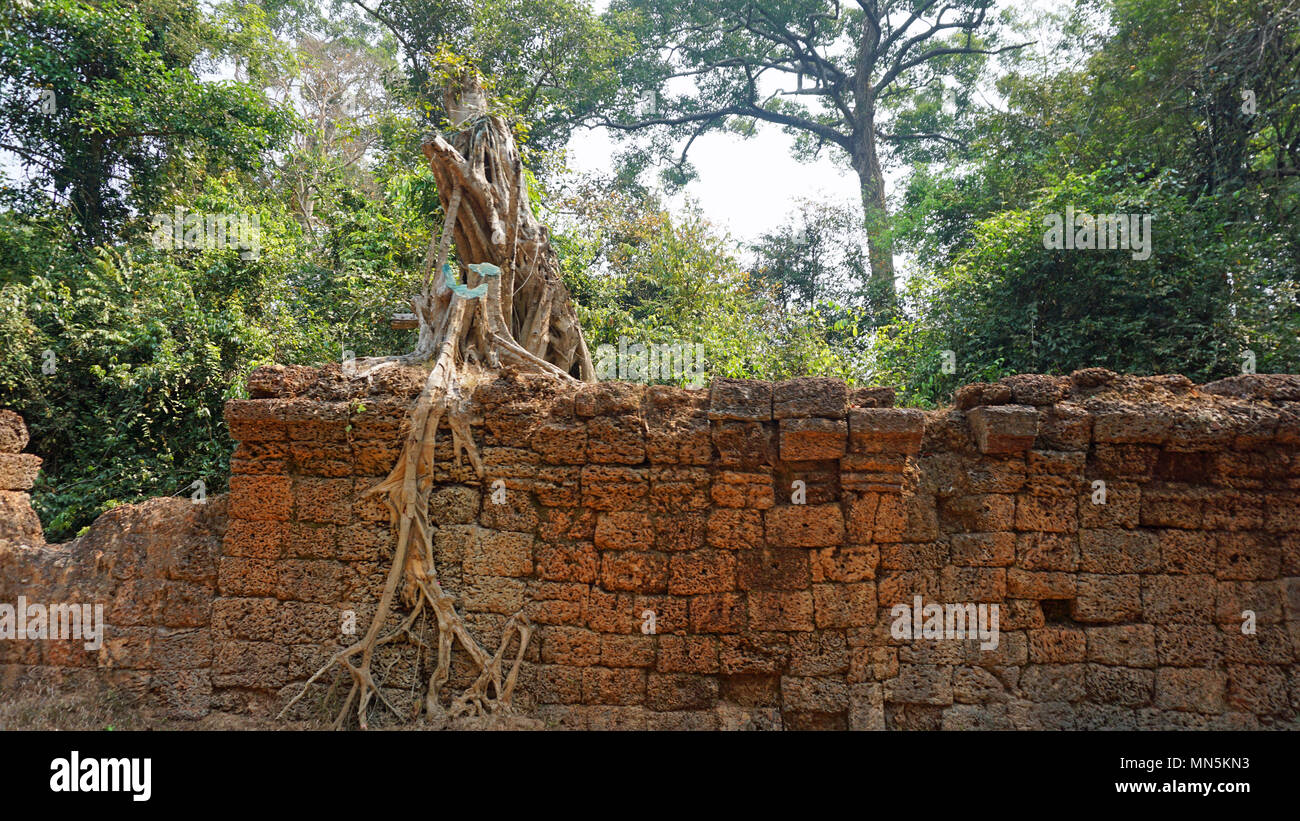 ancient temple complex of ankgor wat in cambodia Stock Photo - Alamy