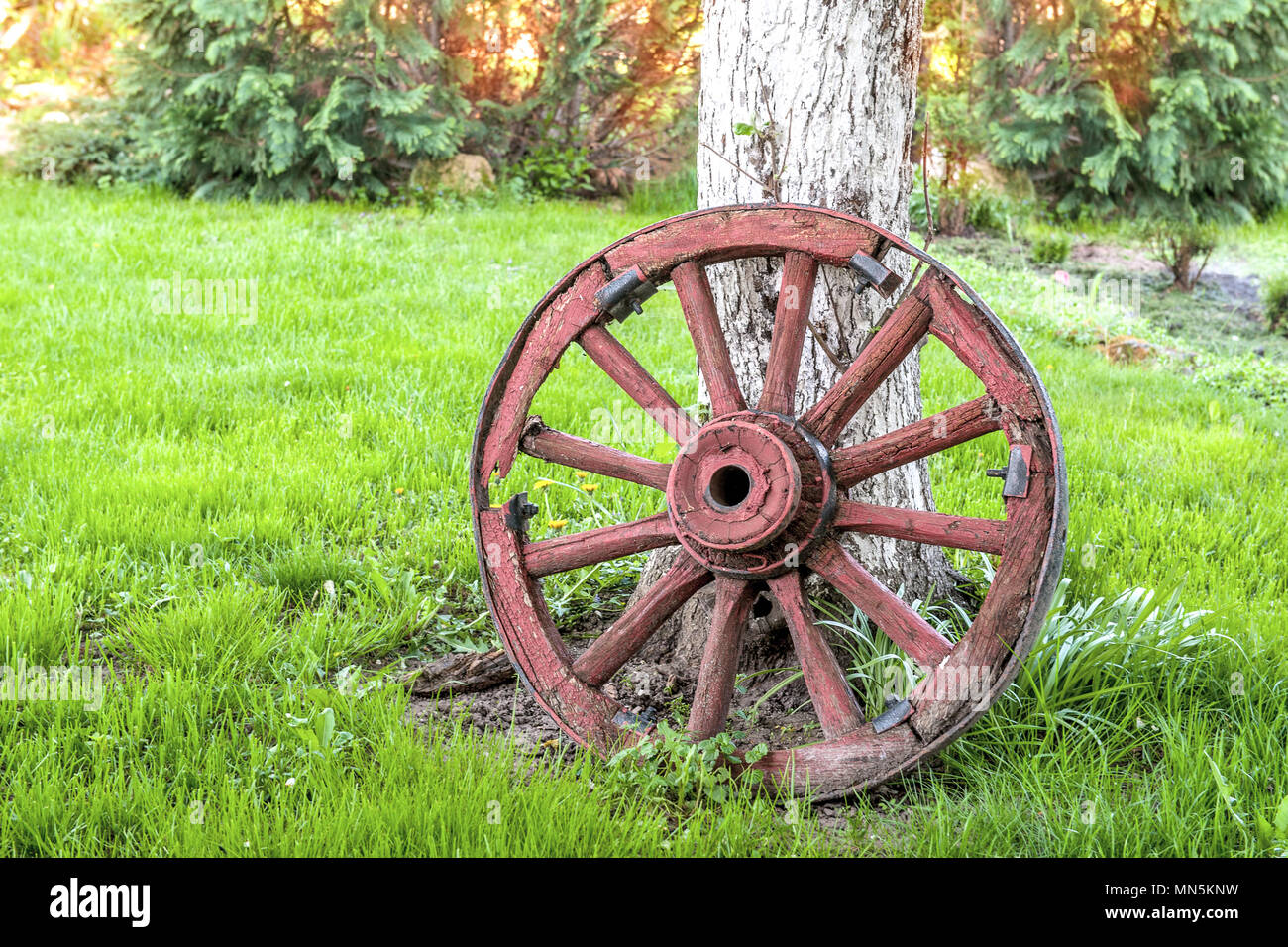 Decorative old trolley wheel stands near the tree in the garden as ...