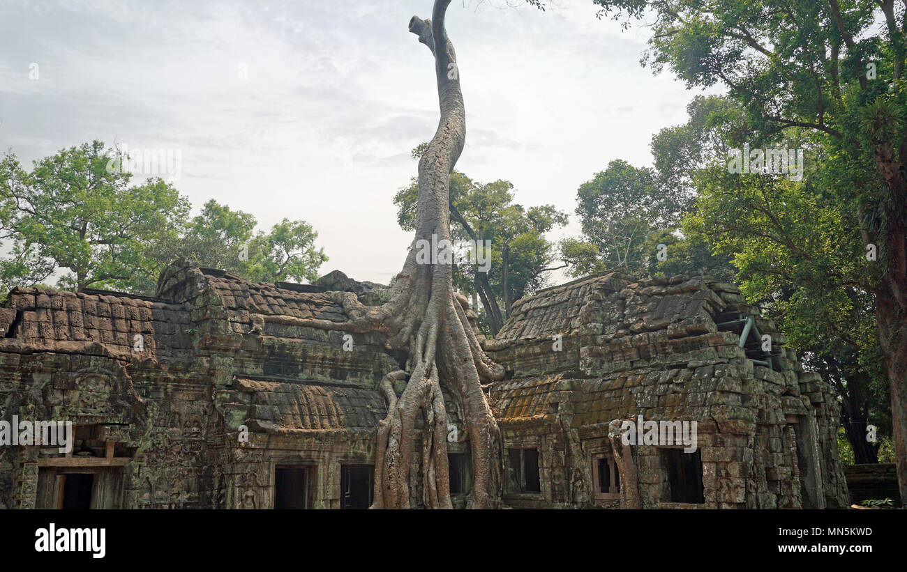 ancient temple complex of ankgor wat in cambodia Stock Photo - Alamy