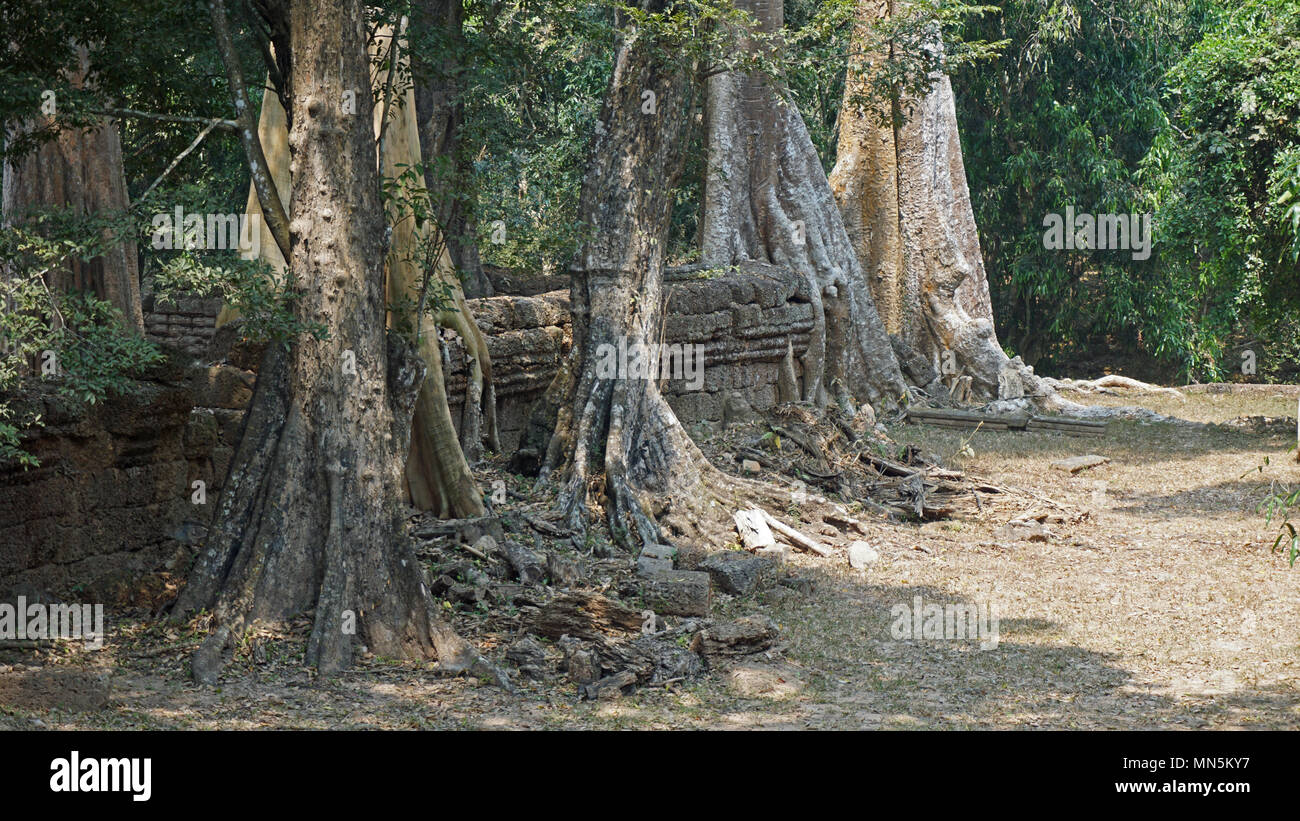 ancient temple complex of ankgor wat in cambodia Stock Photo - Alamy