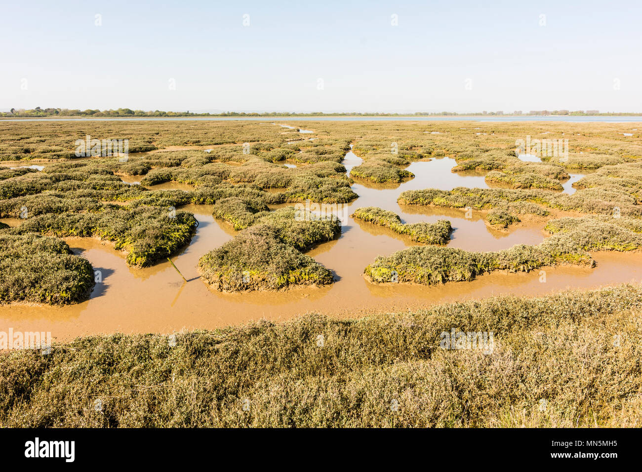 The west side of Pagham Harbour Nature Reserve, West Sussex, UK Stock ...