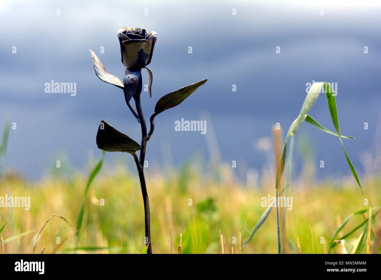 Inanimate nature hi-res stock photography and images - Alamy