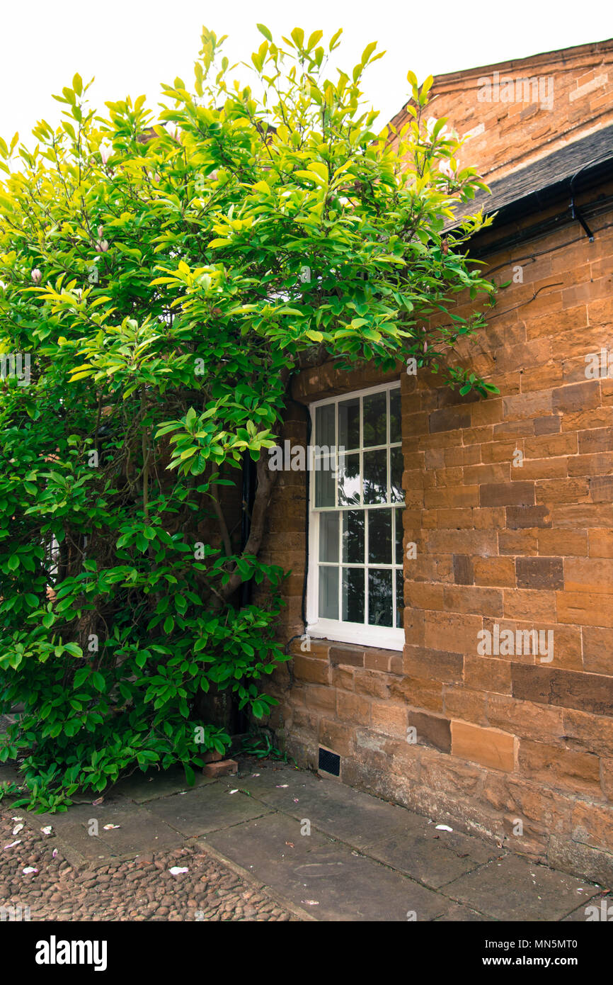 Althorpe House High Resolution Stock Photography and Images - Alamy