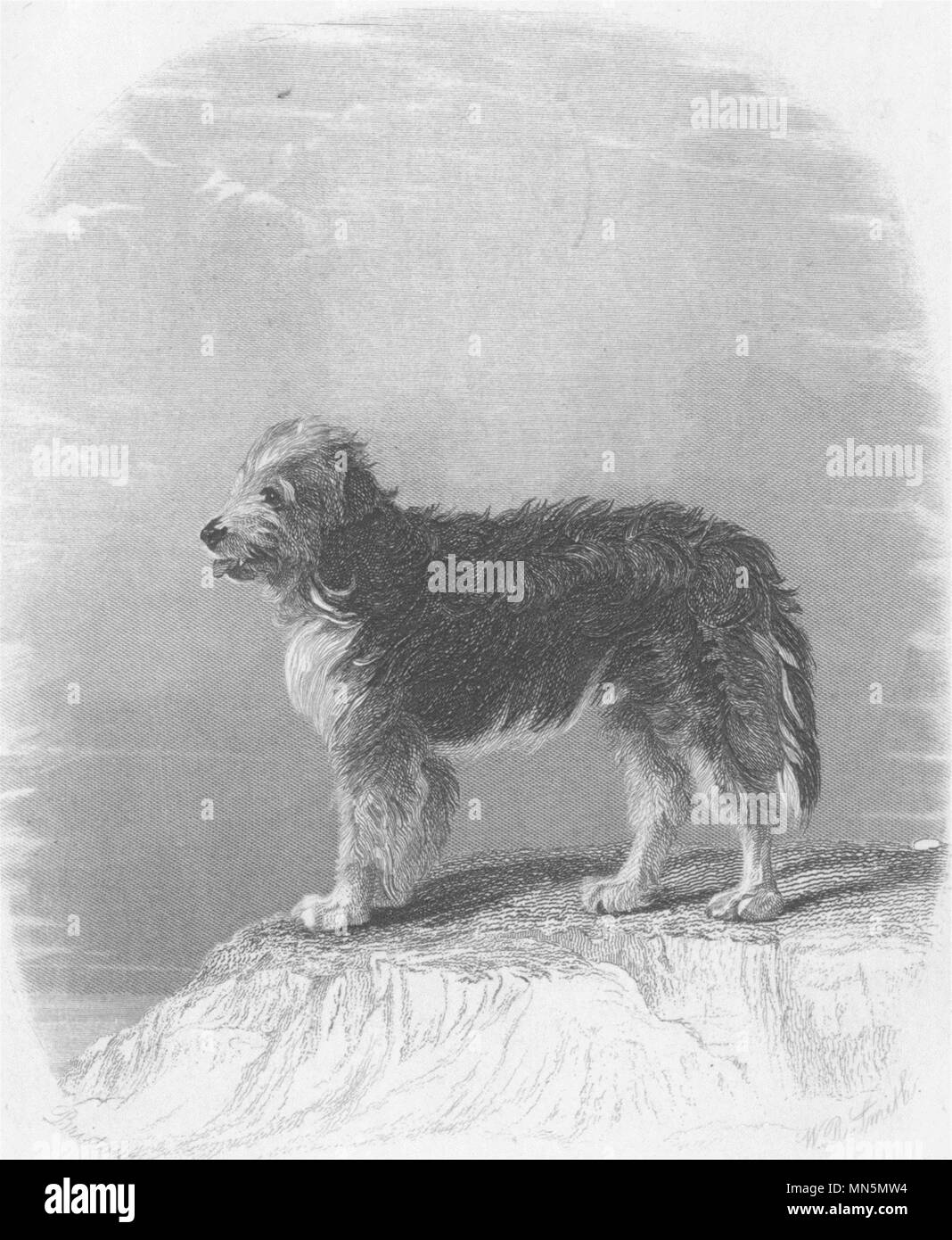 George colley hi-res stock photography and images - Alamy