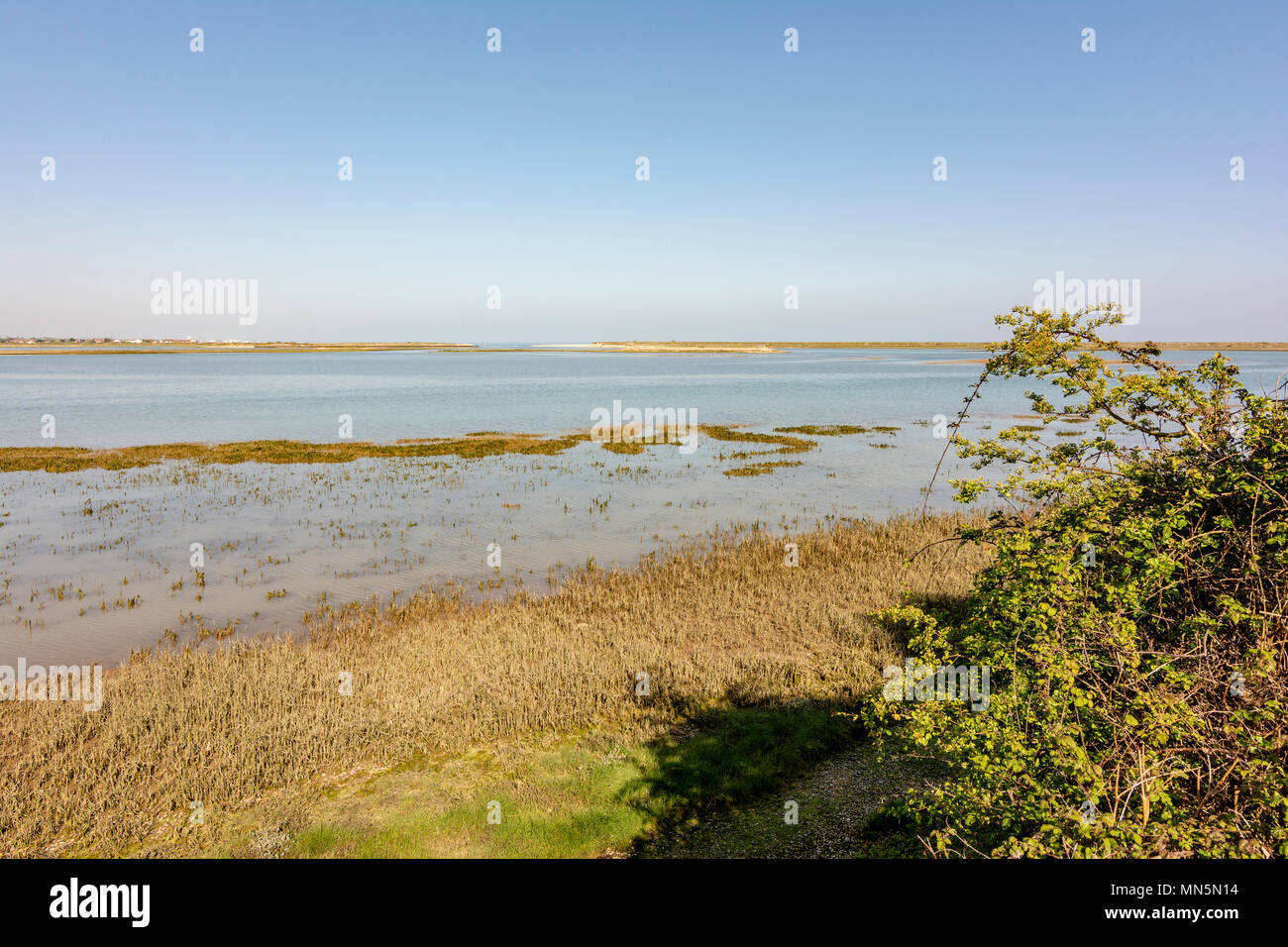 The west side of Pagham Harbour Nature Reserve, West Sussex, UK Stock ...