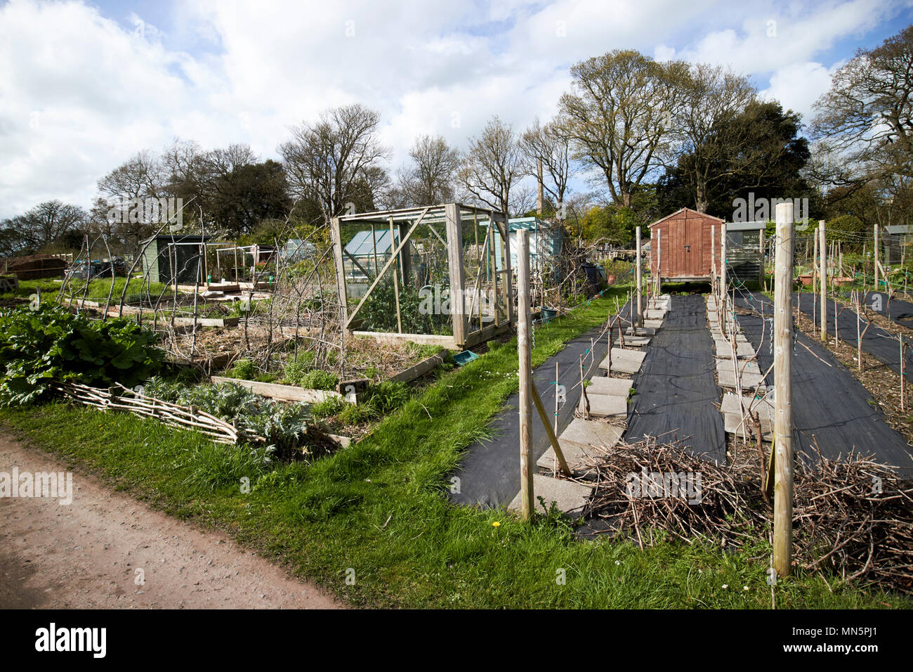 Uk allotments hi-res stock photography and images - Alamy