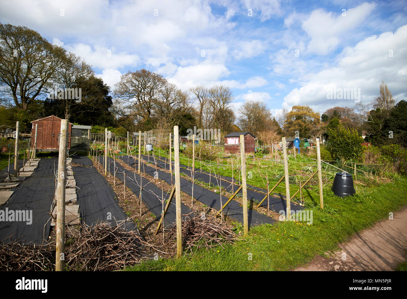 Uk allotments hi-res stock photography and images - Alamy