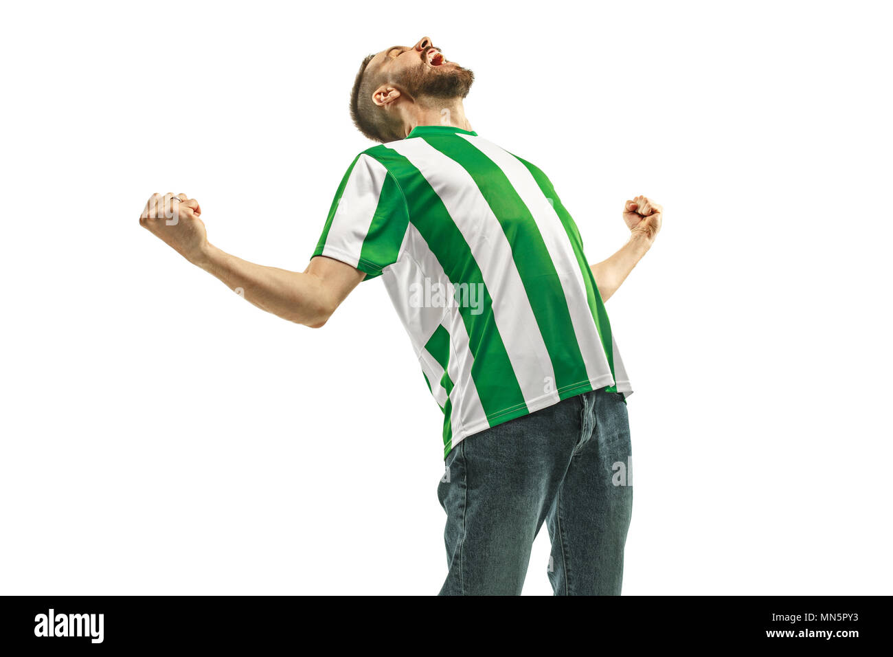 Irish fan celebrating on white background Stock Photo - Alamy