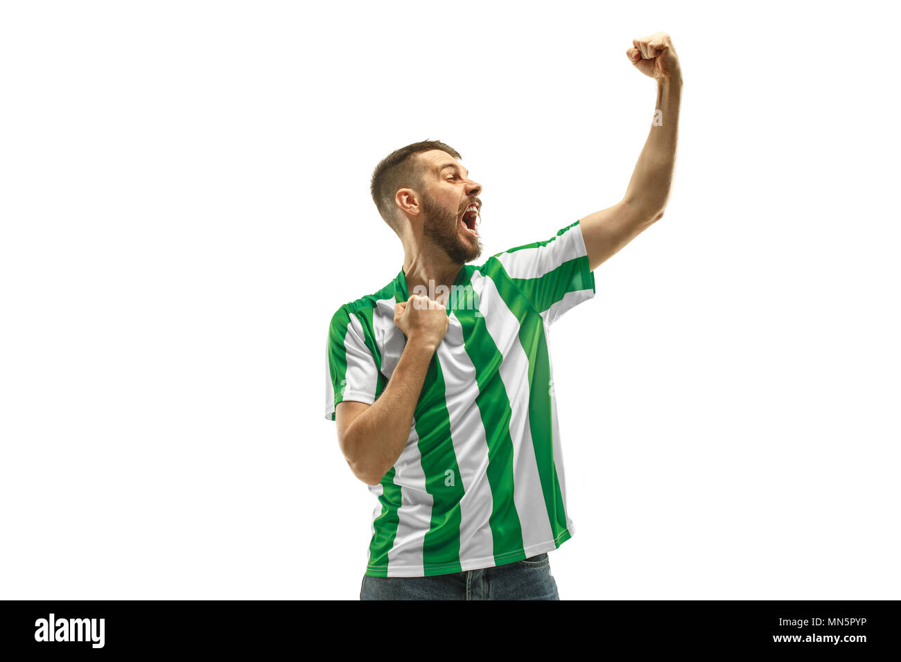 Irish fan celebrating on white background Stock Photo - Alamy