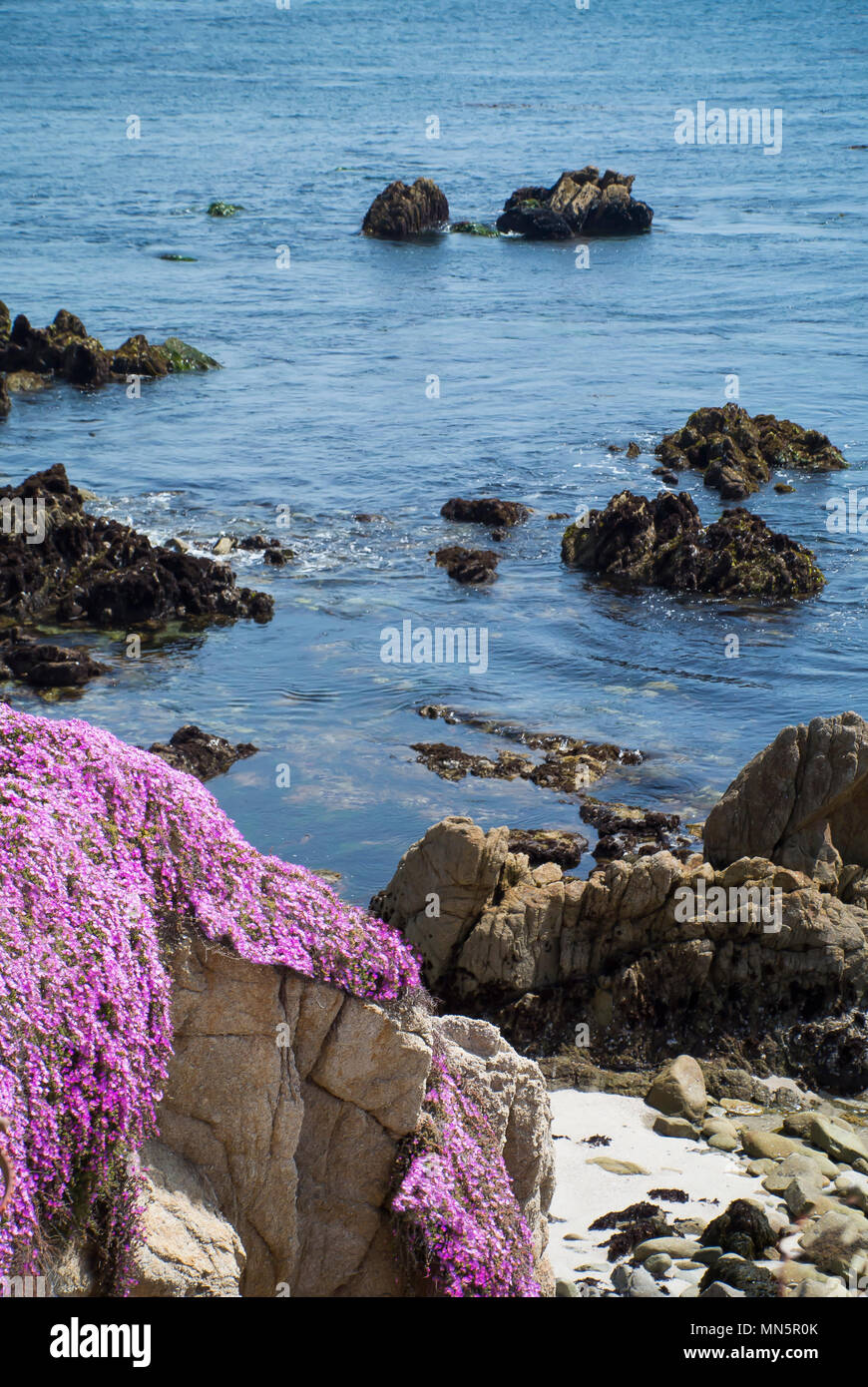 Monterey peninsula hi-res stock photography and images - Alamy