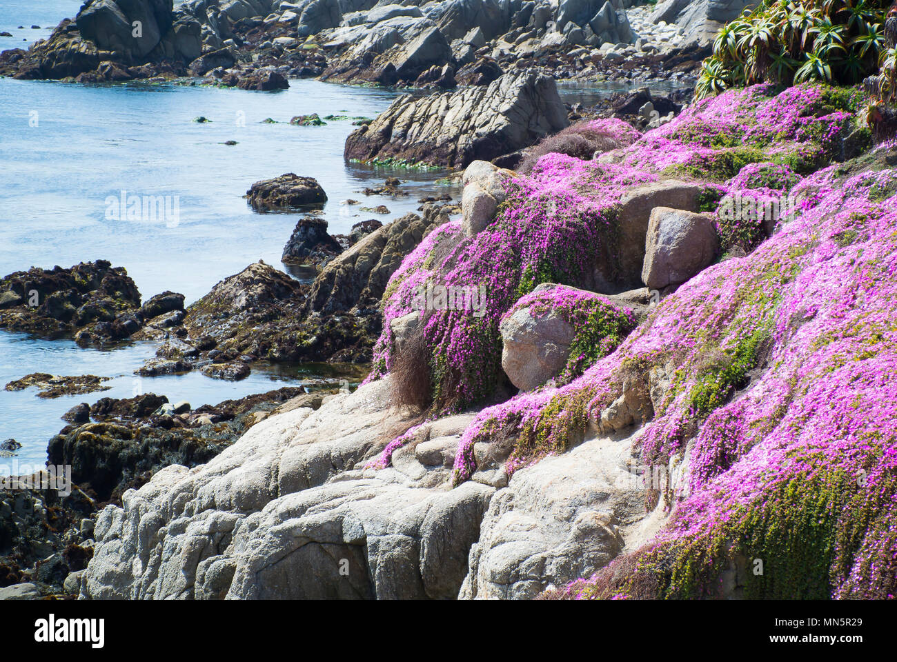 Monterey Peninsula Coastline, California Stock Photo - Alamy