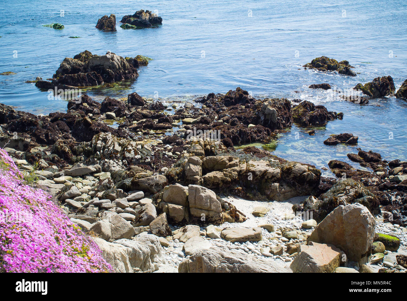 Monterey Peninsula Coastline, California Stock Photo - Alamy