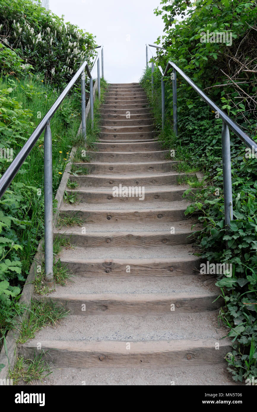 Empty staircase lined with greenery leading up an embankment Stock ...