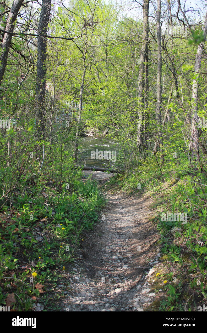 Beautiful green path that leads to a lively river in the far distance ...
