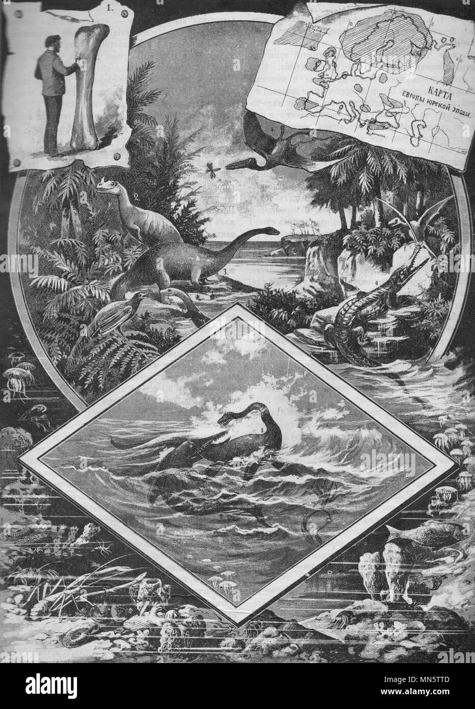 Dinosaures. Vintage engraved illustration. Published in magazine in ...