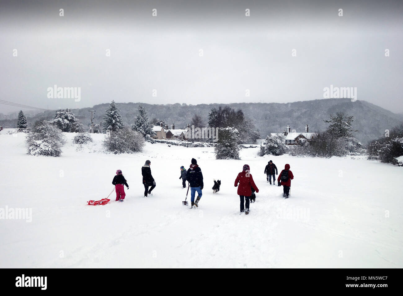Winter scene Britain Uk families sledging on The Lodge Field ...