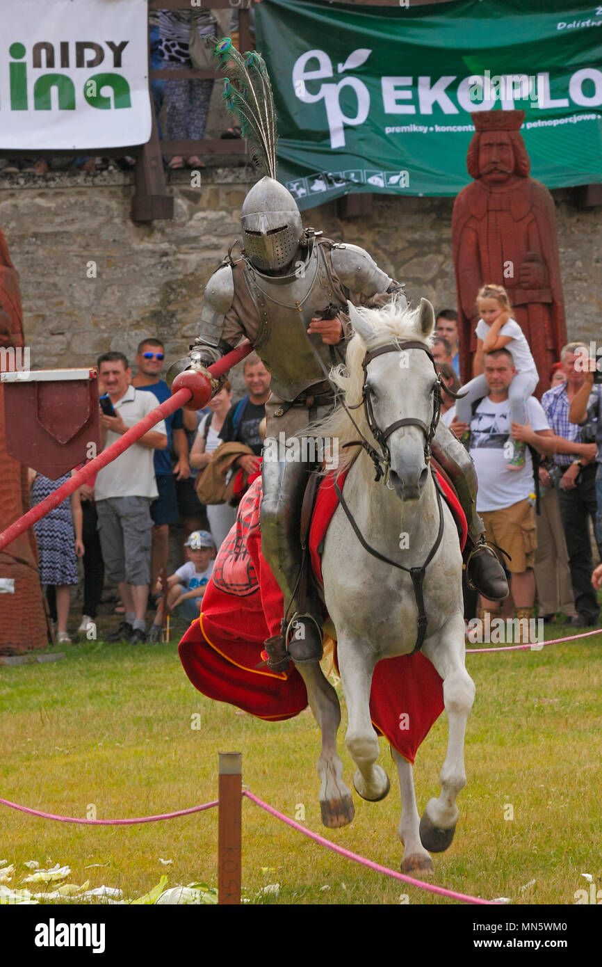 Knight demonstration of a fight and riding techniques. "Knight's ...