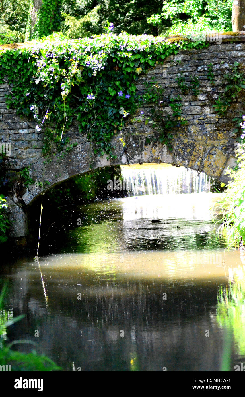 Landscape portrait of river view with ivy covered stone bridge and ...
