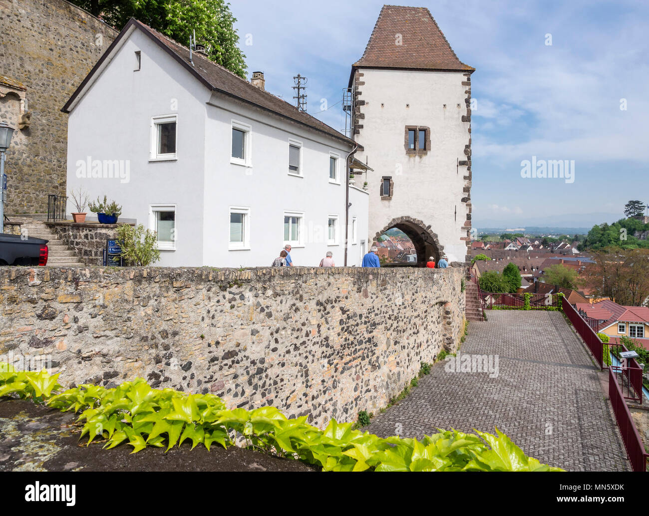 Breisach wine hi-res stock photography and images - Alamy