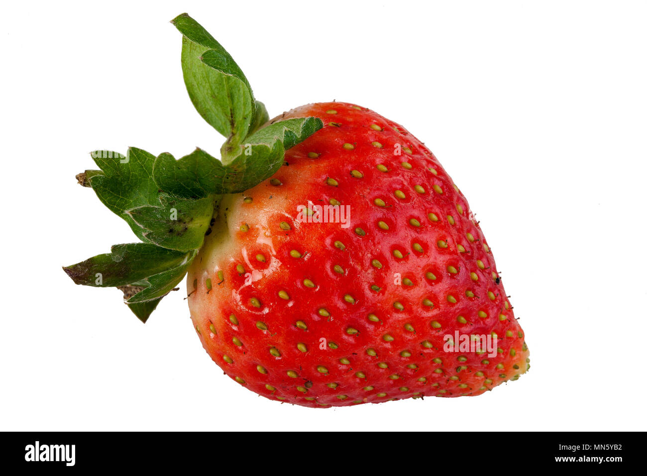 Strawberry isolated on white background. Clipping Path. A real real ...