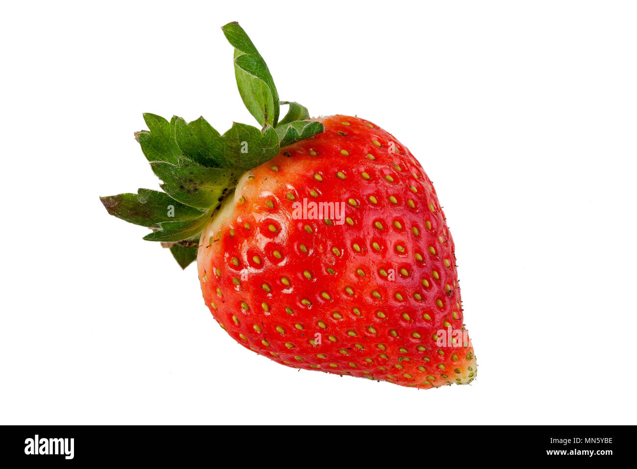 Strawberry isolated on white background. Clipping Path. A real real ...