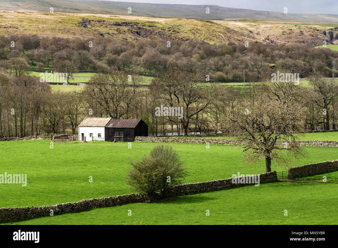 Teesdale Barns,Teesdale, County Durham Stock Photo - Alamy