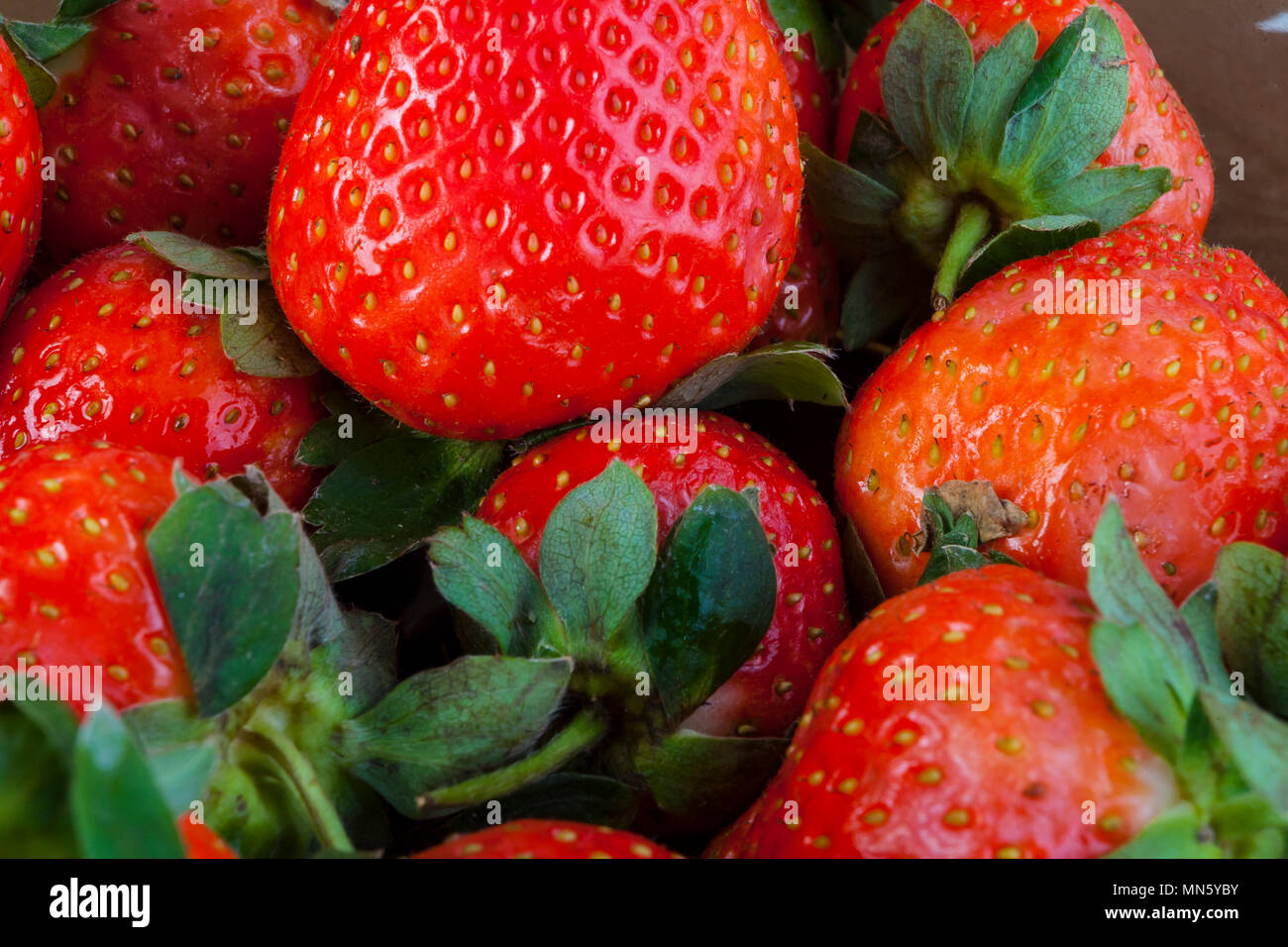Seamless food real texture hi-res stock photography and images - Alamy