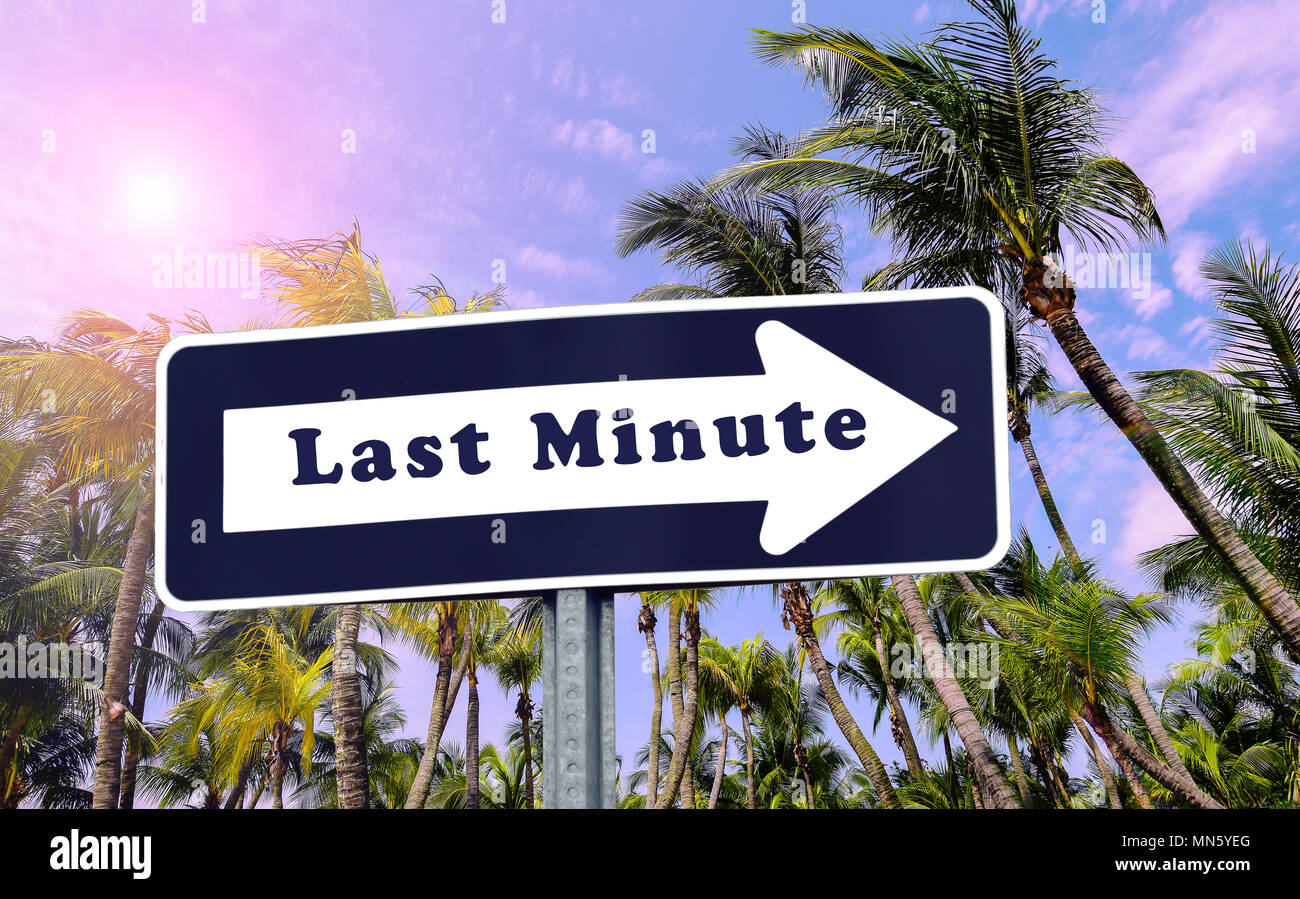 Last Minute arrow sign against palm tree background Stock Photo - Alamy
