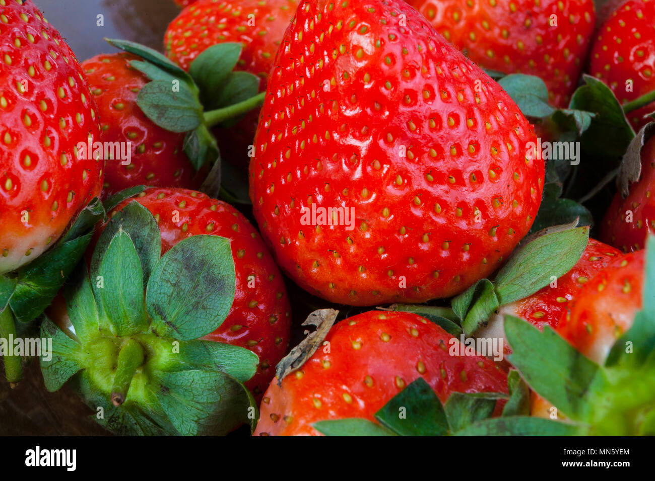background from freshly harvested strawberries, directly above. A real ...
