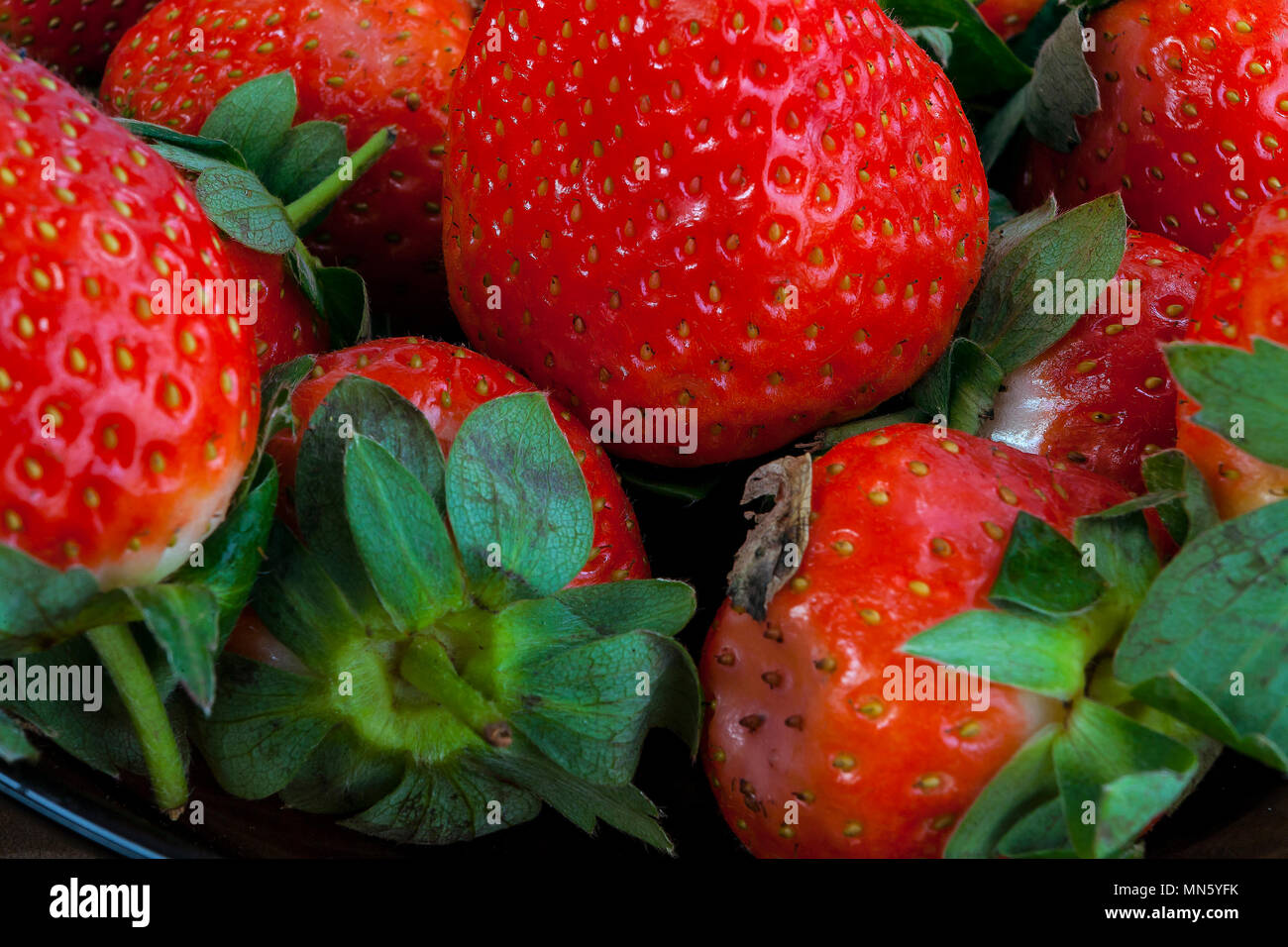 background from freshly harvested strawberries, directly above. A real ...