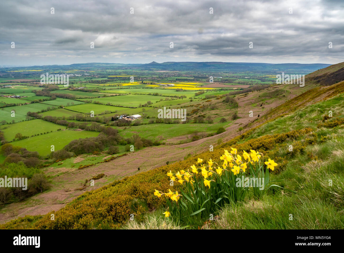 Stokesley plain hi-res stock photography and images - Alamy