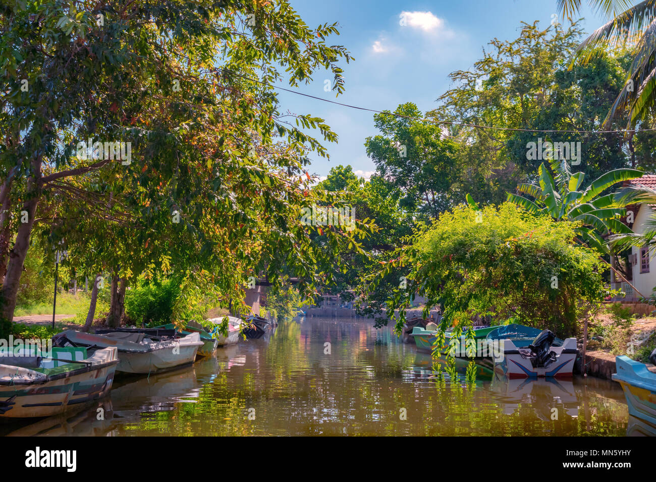 Negombo village hi-res stock photography and images - Alamy