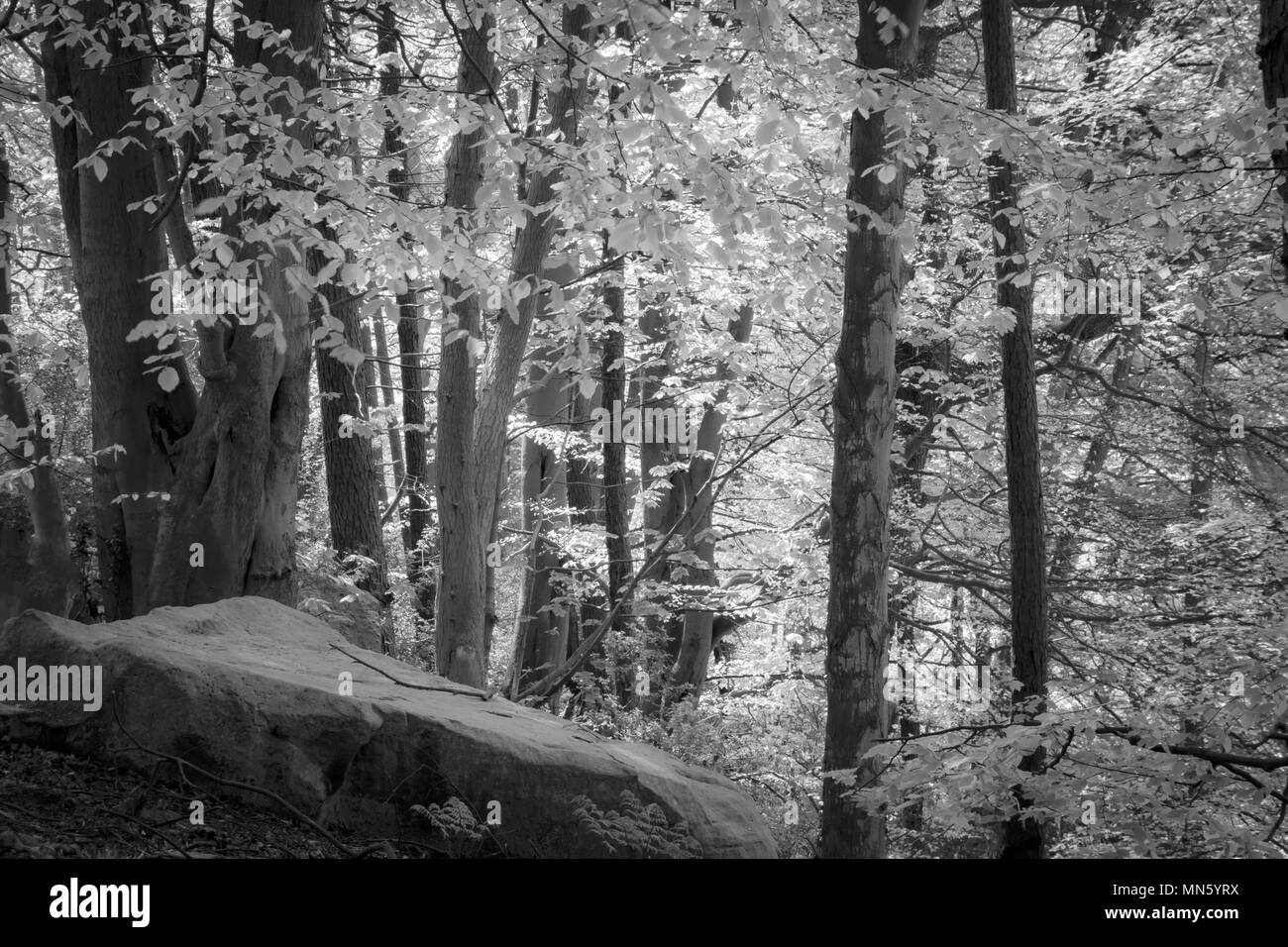 Falling foss whitby england hi-res stock photography and images - Alamy
