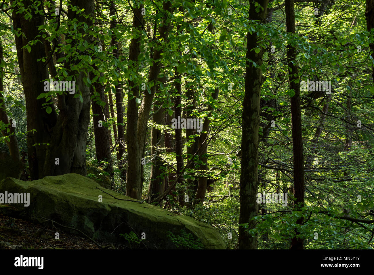 Falling foss whitby england hi-res stock photography and images - Alamy