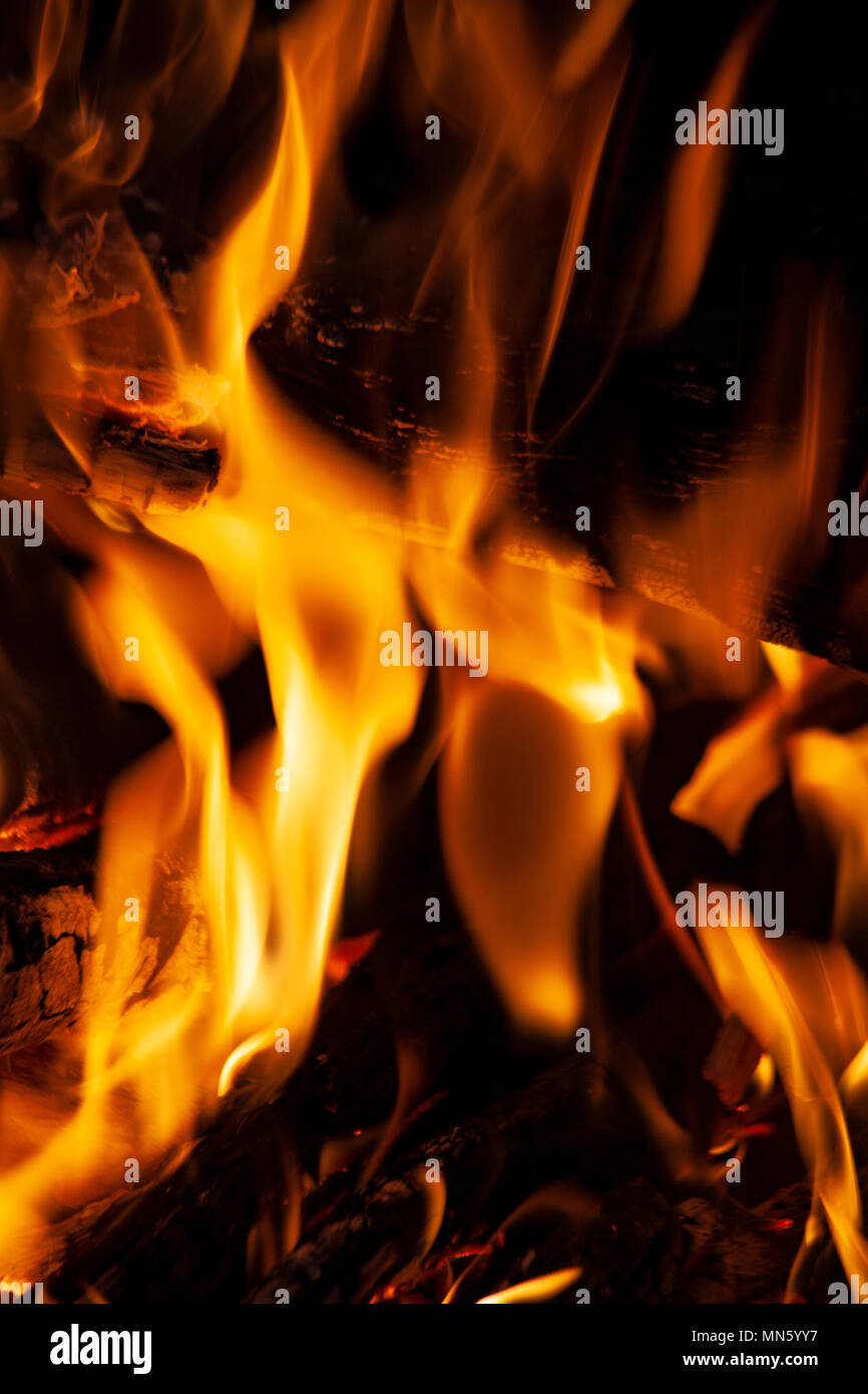 Fire, flames on a black background. Fire for advertising. Fire a fire ...