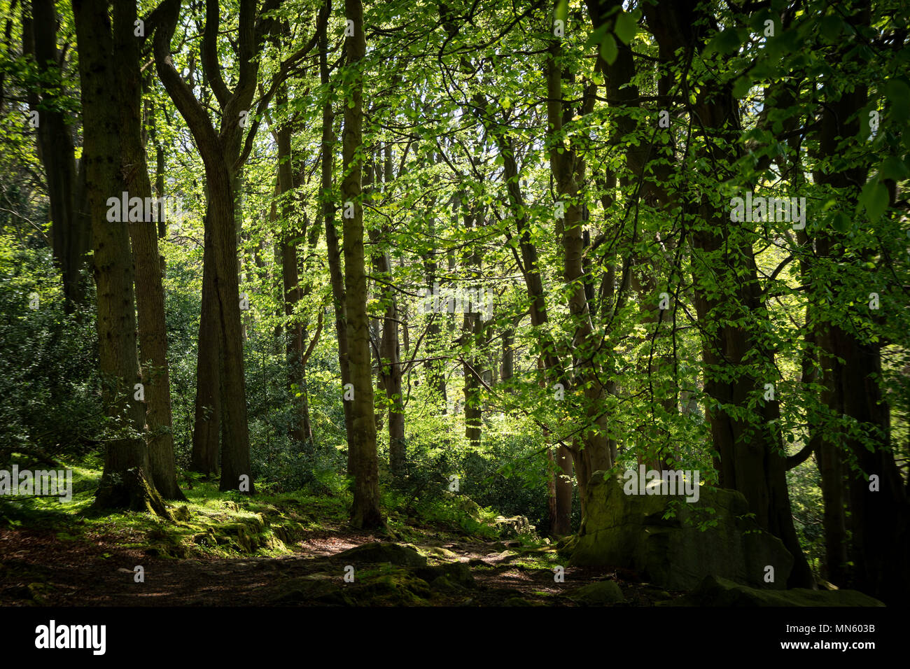 Falling foss whitby england hi-res stock photography and images - Alamy