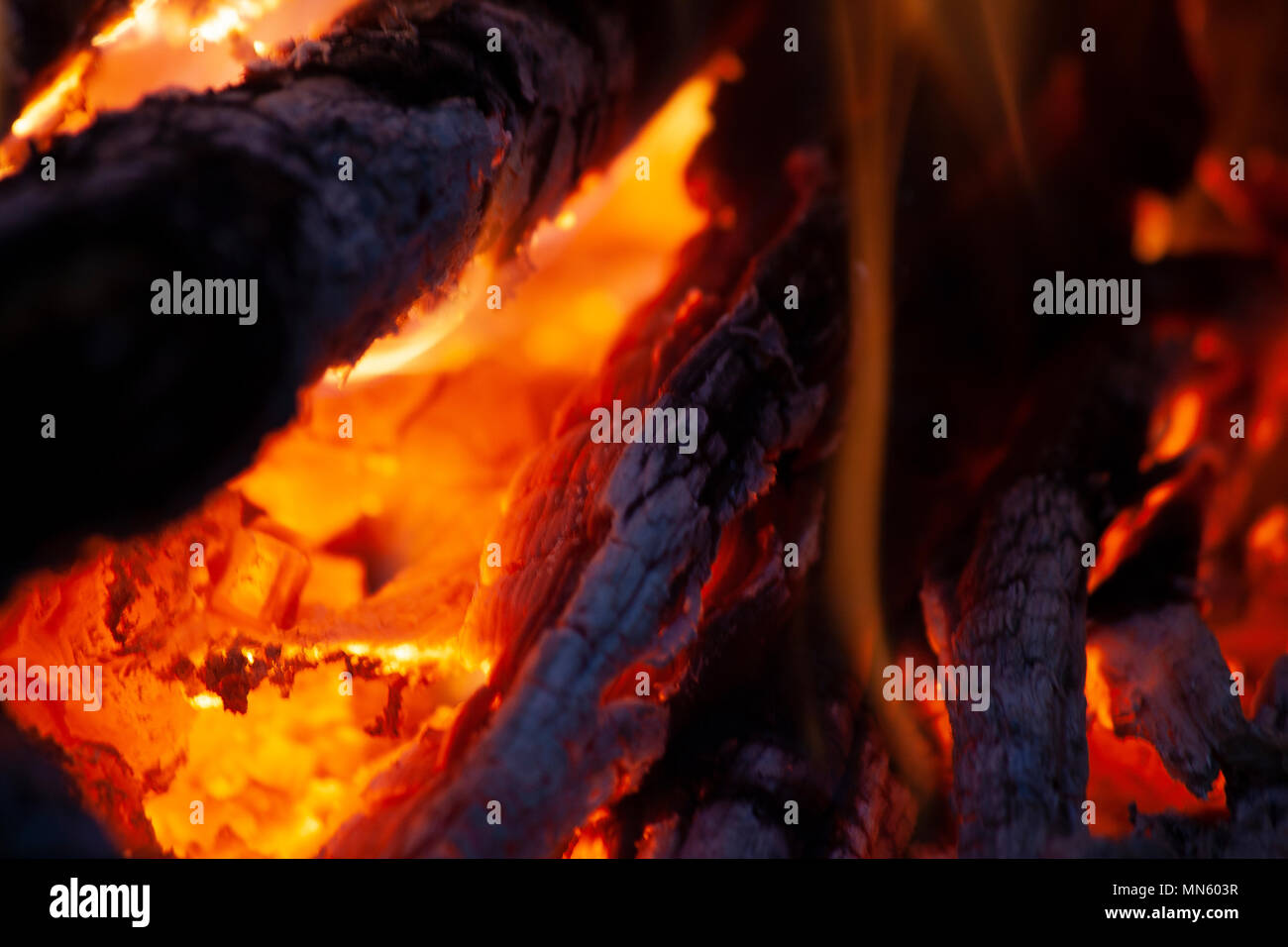 Fire, flames on a black background. Fire for advertising. Fire a fire ...