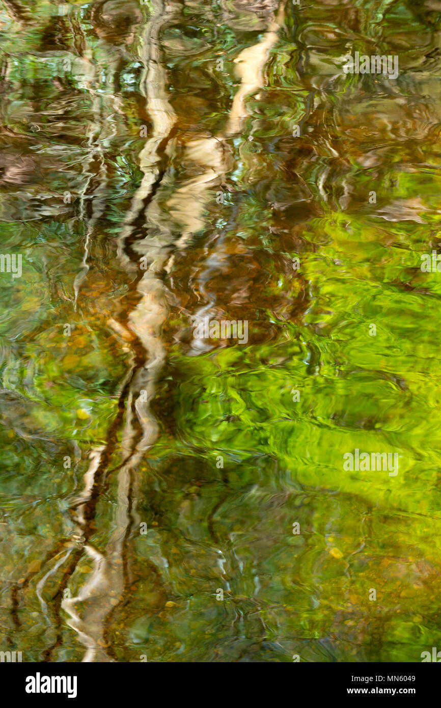 Falling foss whitby england hi-res stock photography and images - Alamy