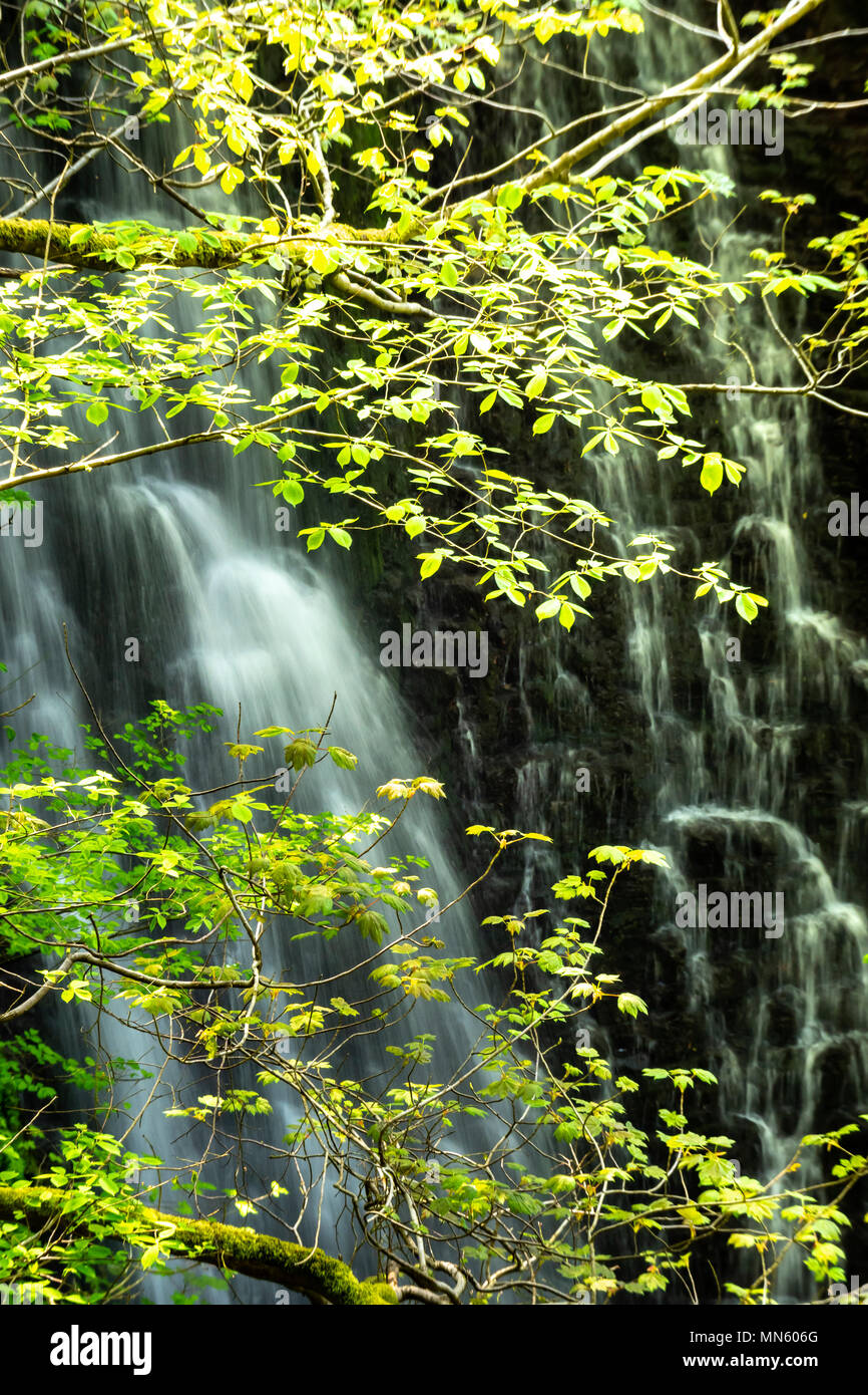 Falling Foss, Waterfall, Near Whitby Stock Photo - Alamy