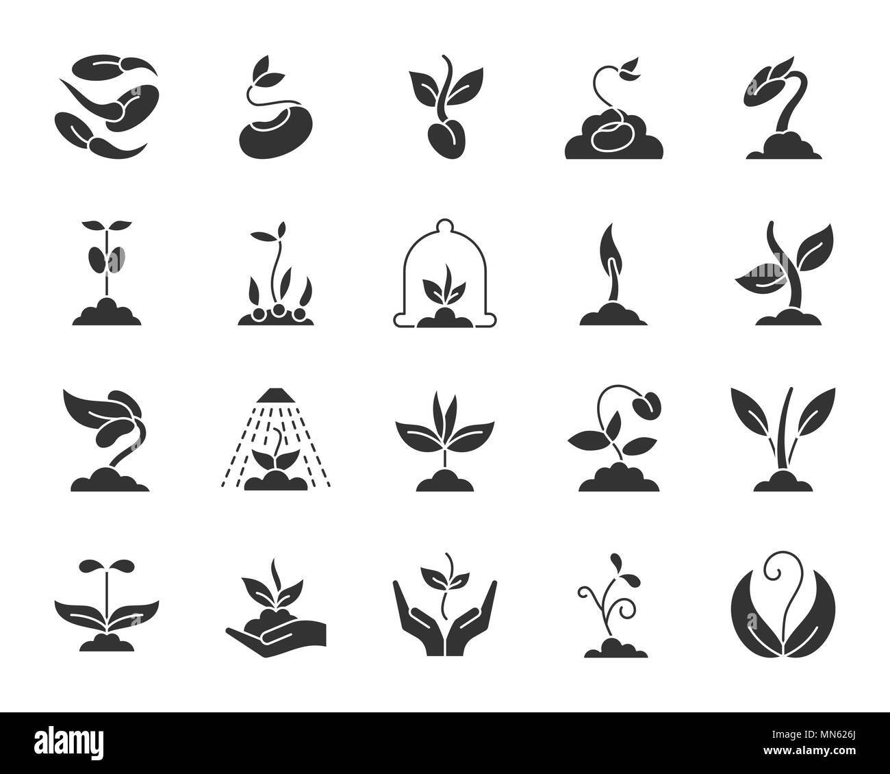 Seed Sprout Vector