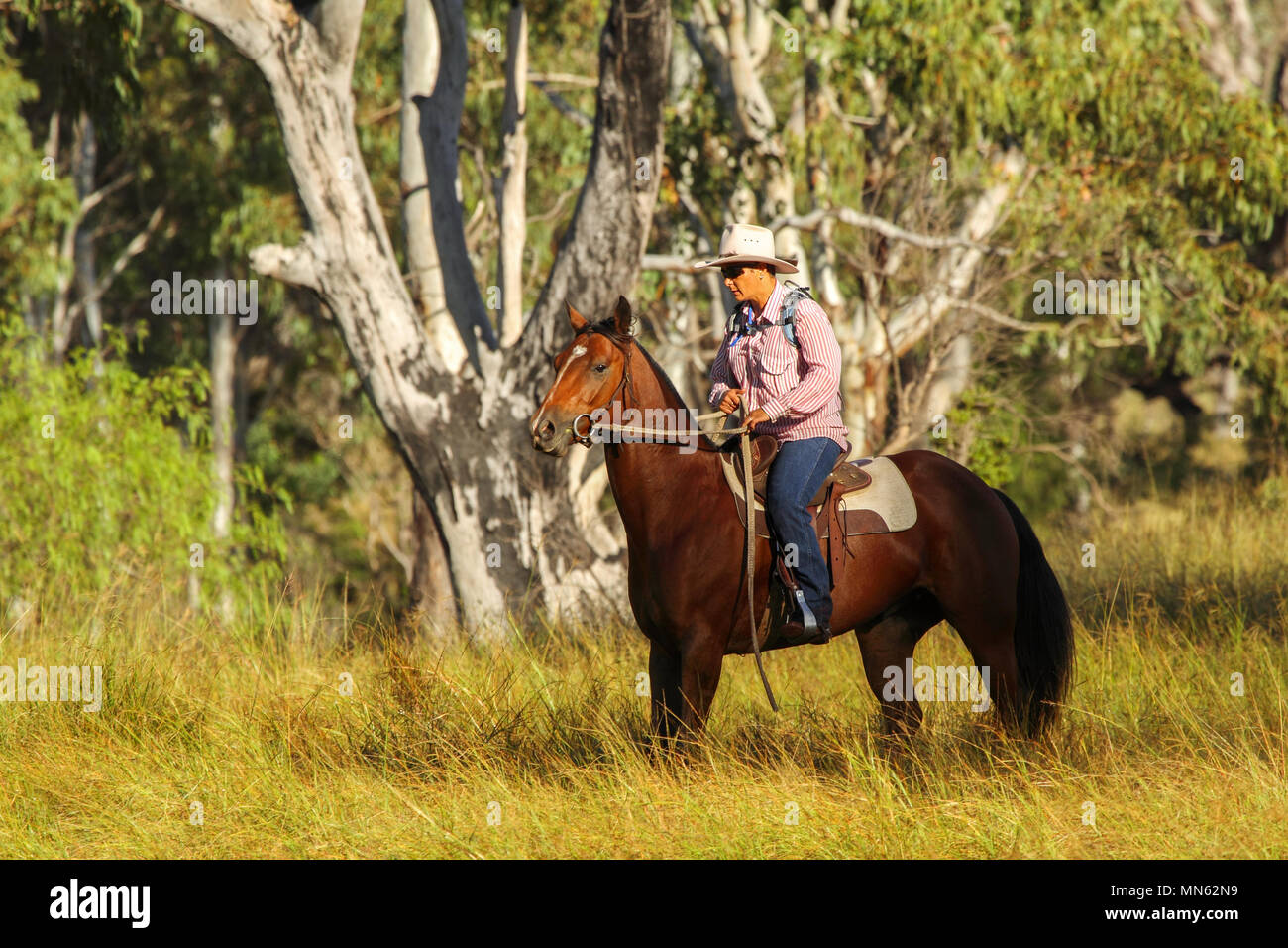 Aborigine australia woman hi-res stock photography and images - Alamy