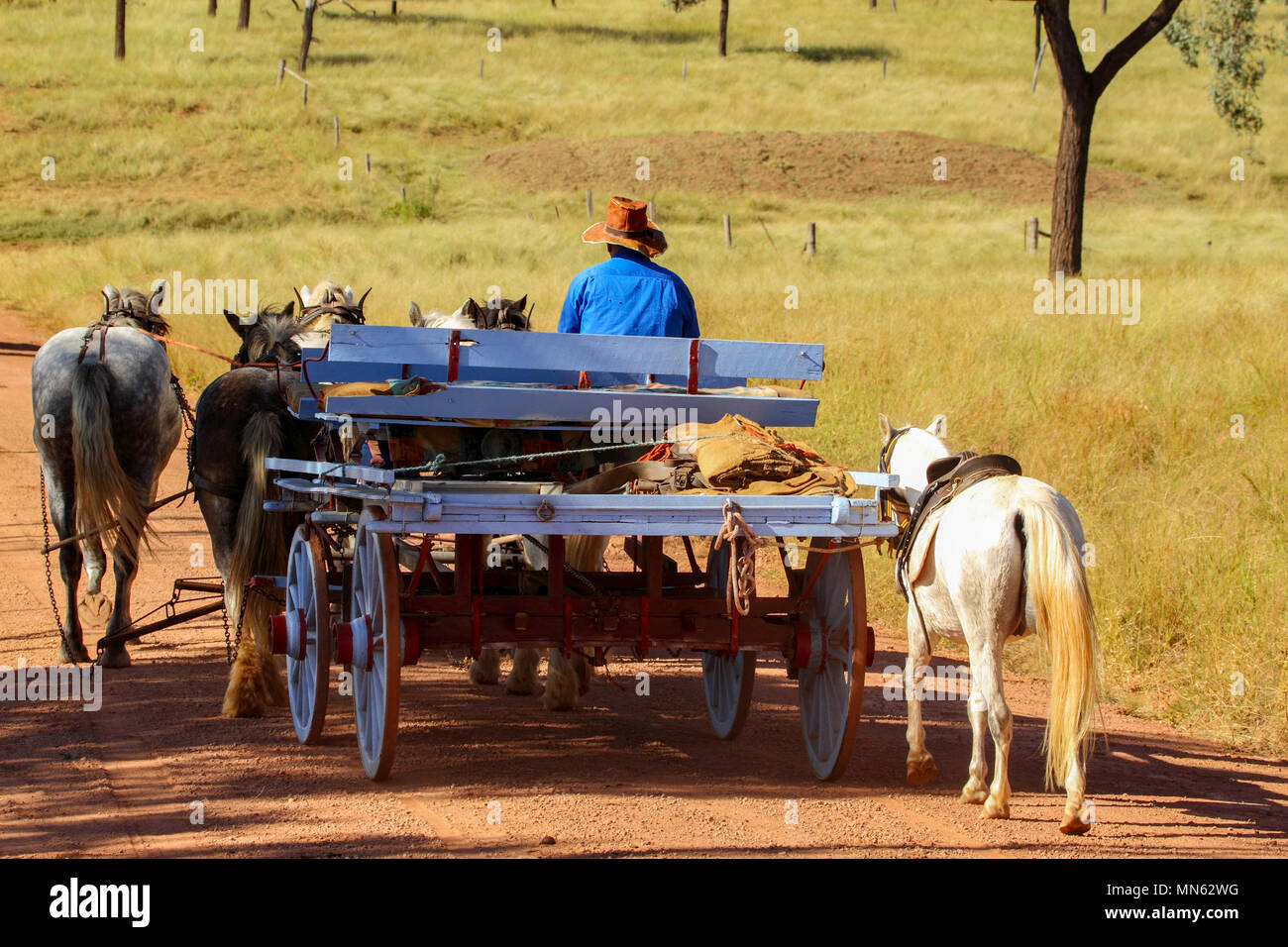 Horses pulling wagon hi-res stock photography and images - Alamy