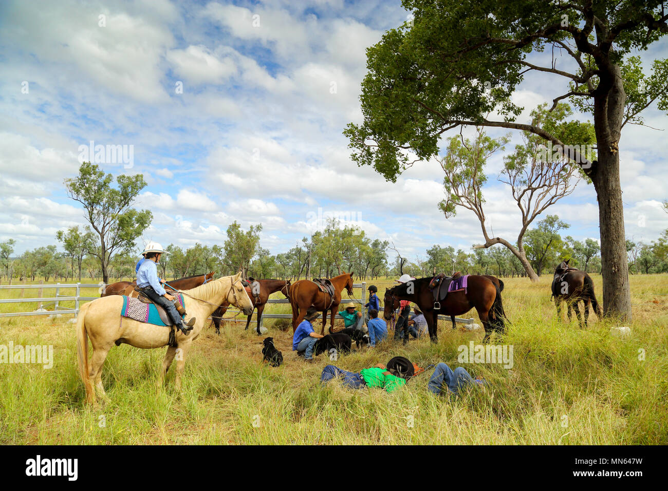 Shade tree hi-res stock photography and images - Alamy