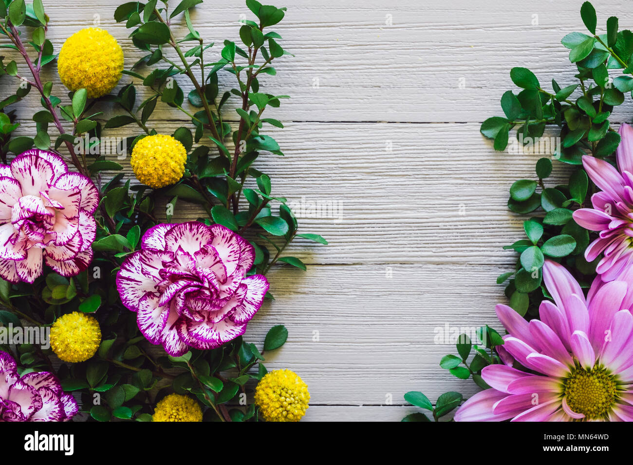 Carnation cluster High Resolution Stock Photography and Images - Alamy